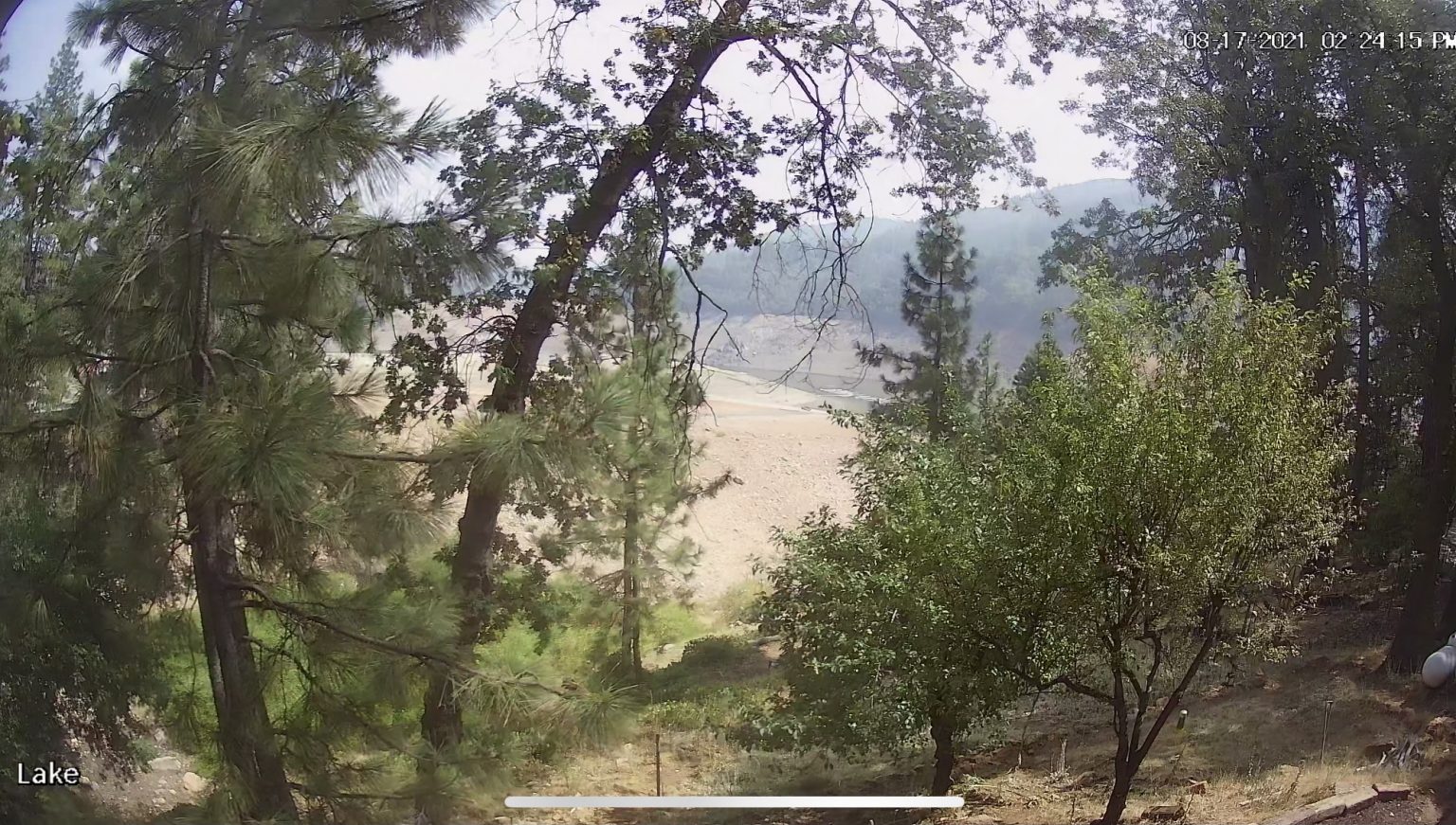 Shasta Lake Forest Fire Updates | Lake Shasta Cabins